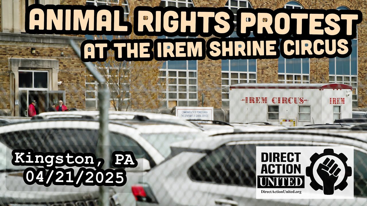 Animal Rights Protest Irem Shrine Circus in Kingston PA 04/21/2025 ...
