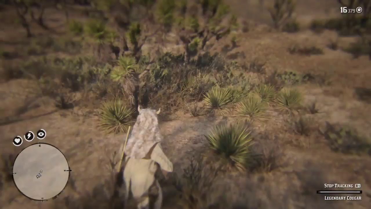 RDR2 legendary cougar hunt - YouTube