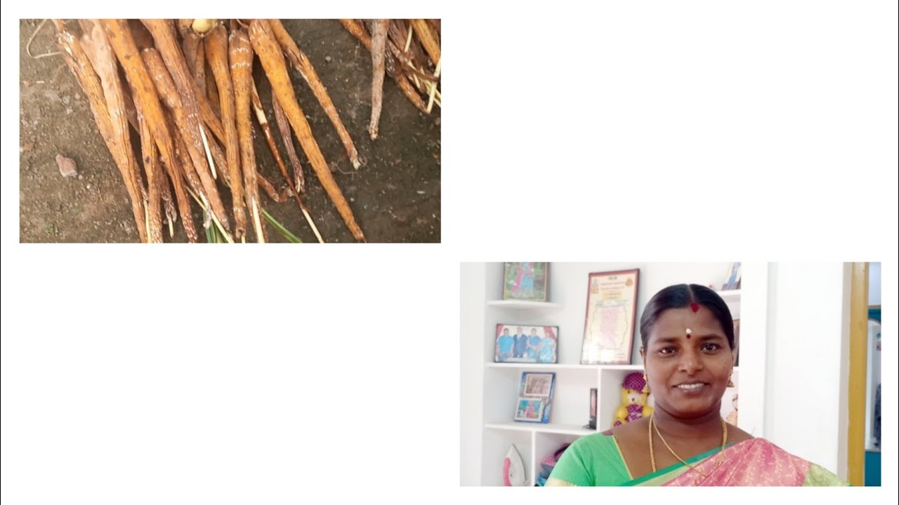 Panang Kilangu / Natural Snack Recipe in our home - YouTube