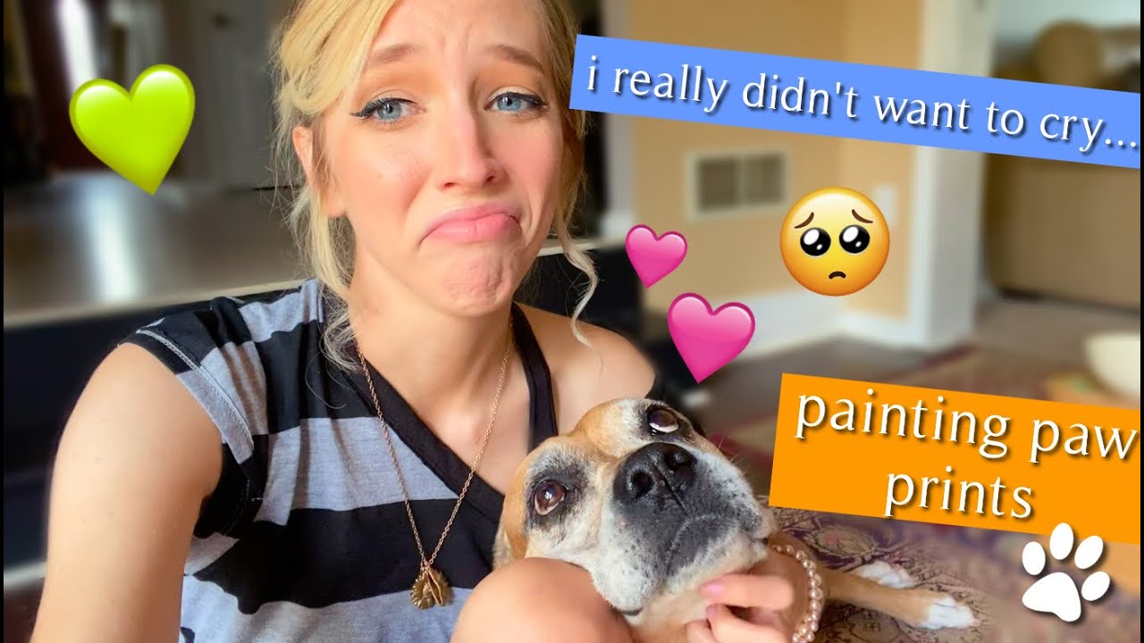 Cooking, Dog Sitting & Paw Prints! 🐾 - YouTube
