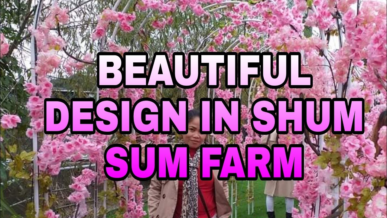 What A Beautiful Flower Display During Chinese New Year In Shun Sum ...