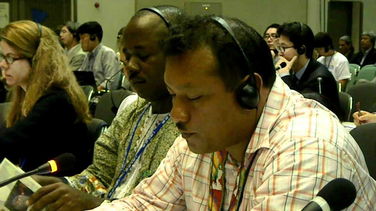 IIFB submission on article 10c CBD COP10 (2/2) - YouTube