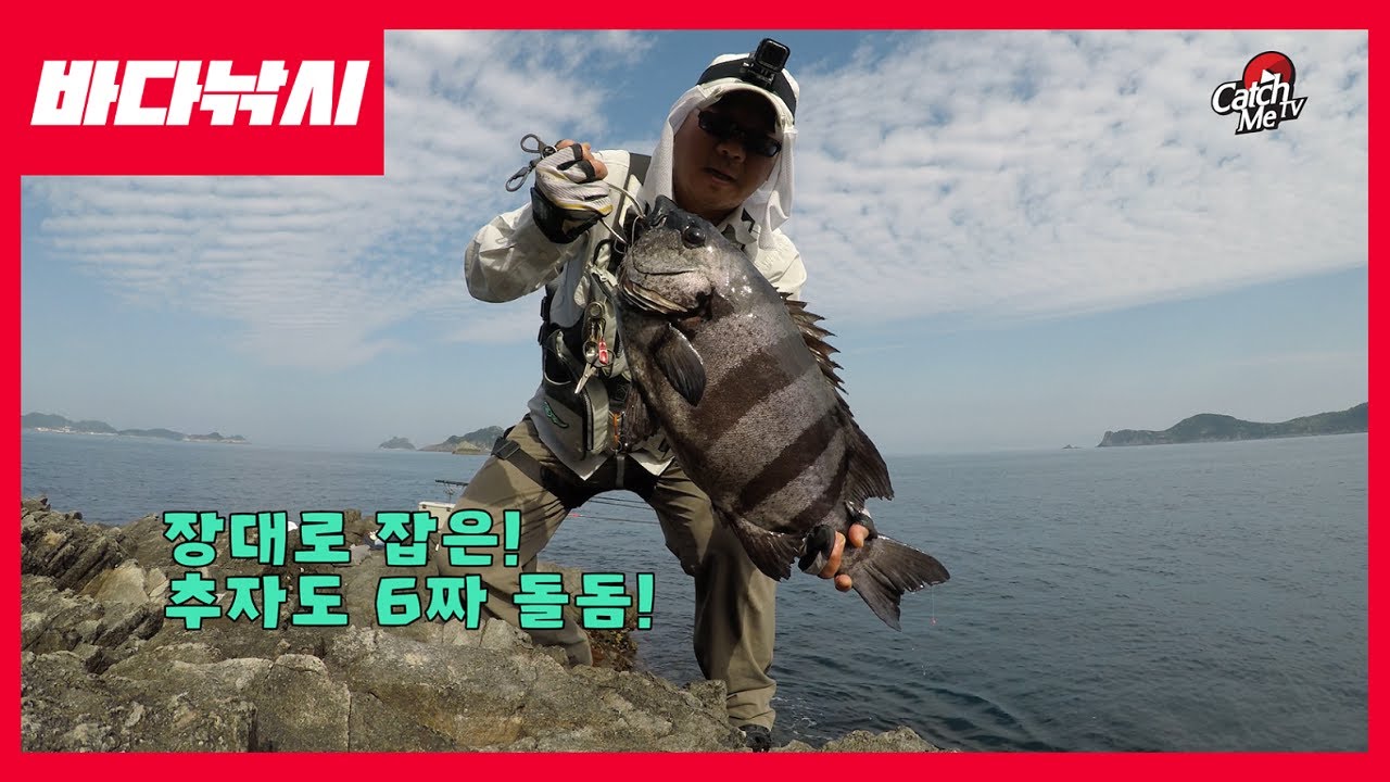 [4K] 나왔다! 장대 6짜 돌돔 - Striped Beakfish / イシダイ / 石鯛釣り / 7짜 혹돔 - YouTube