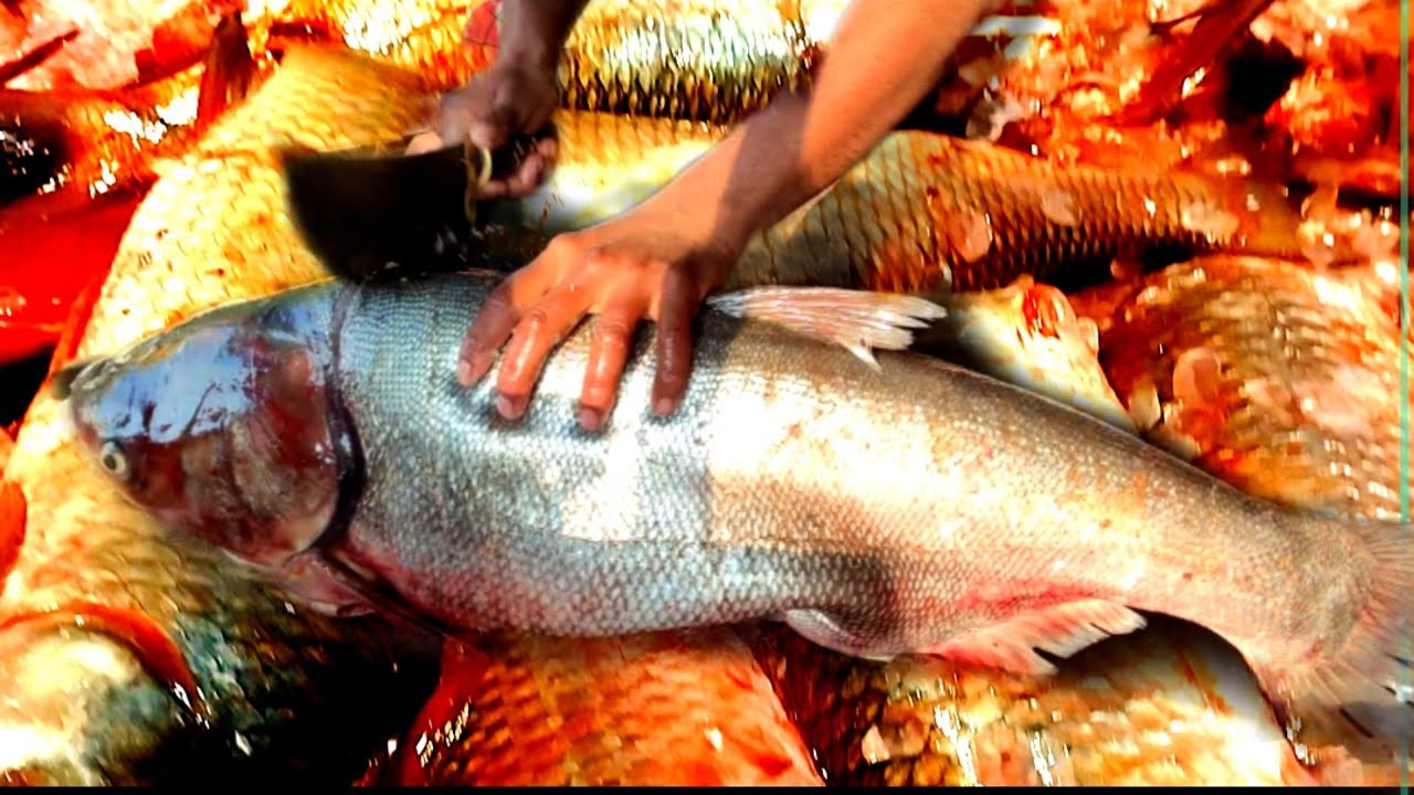 amazing cutting skills | cutting master | cutting style | cutting ...