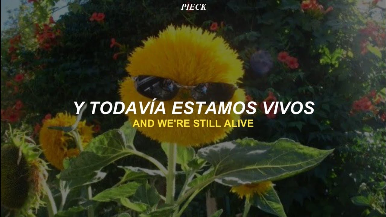 Cage The Elephant - Good Time // sub. español - english lyrics - YouTube