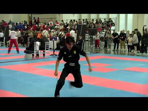 Ahmed Mahomed Hard Style Weapons Turkish Open 23