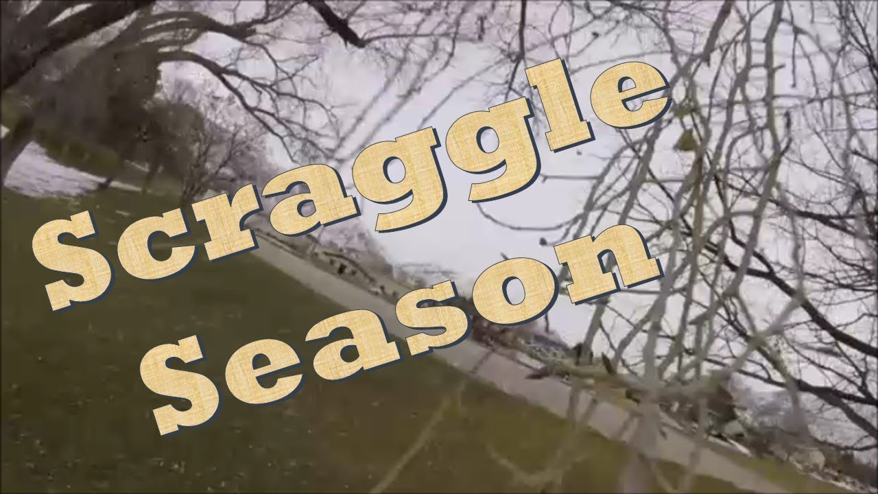 Scraggle Season - YouTube