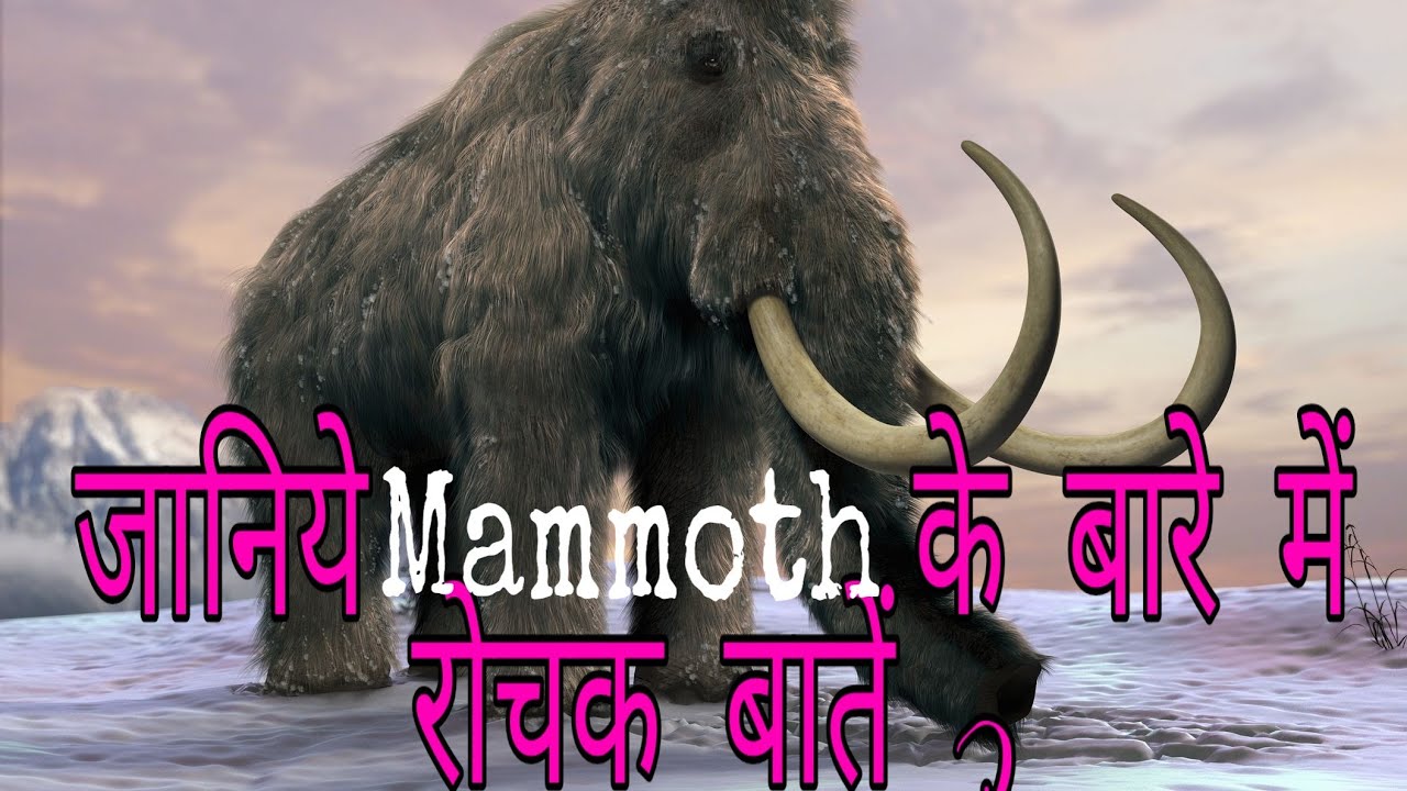 All about mammoth / facts of mammoth in (HINDI) - YouTube