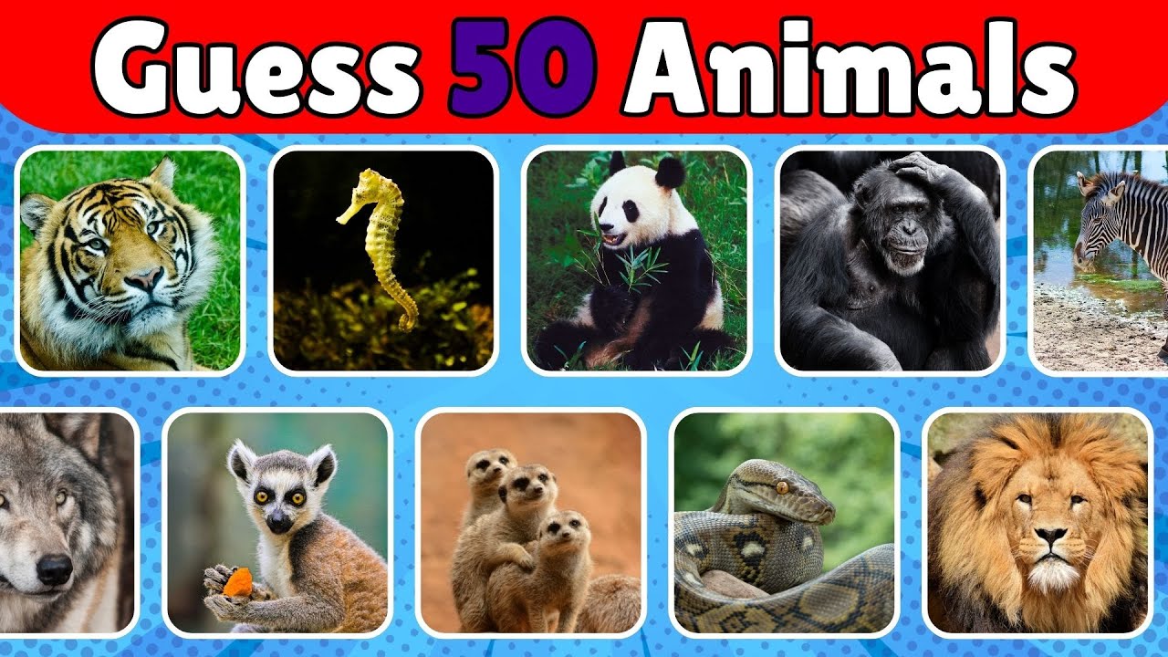 Guess the Animal Name Quiz Game for Kids Children - Animal Quiz for ...