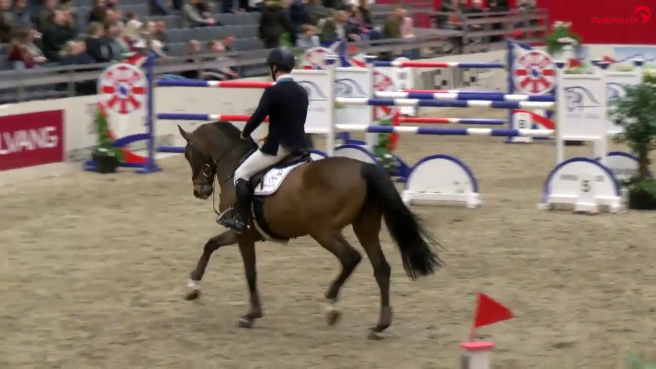 Maksymilian Wechta Herning 2020 Quvee Prestige - YouTube