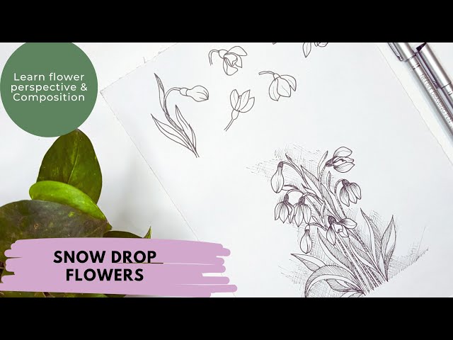 Snow Flower Drawing Winter Flowers Watercolor Bouquet (4899934)
