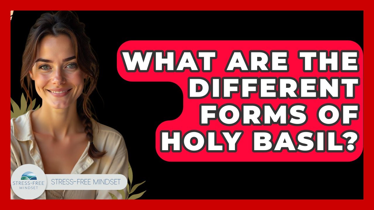 What Are The Different Forms Of Holy Basil? - Stress Free Mindset - YouTube