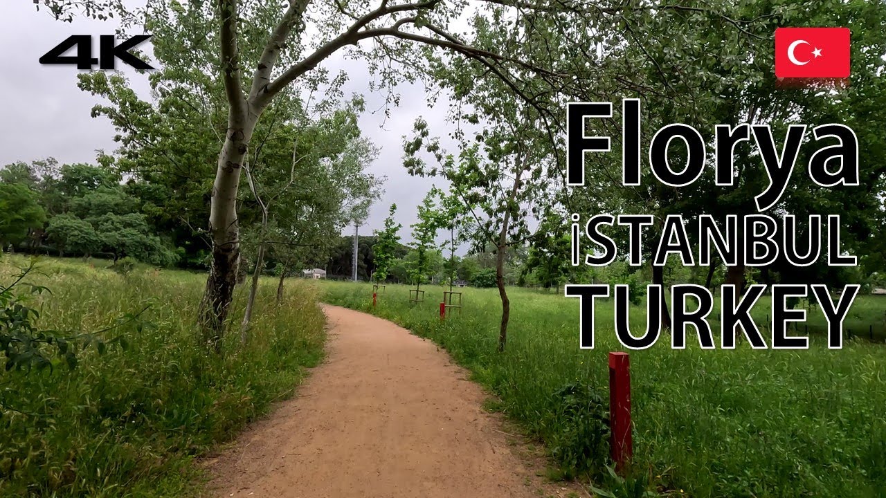 Florya Ataturk Forest / ISTANBUL / TURKEY - 4K 60fps - Walking Tour on ...