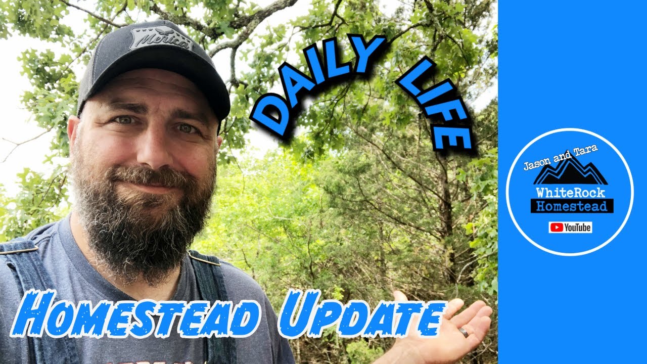 HOMESTEAD UPDATE |tiny house, homesteading, VLOG, cabin build, DIY HOW ...