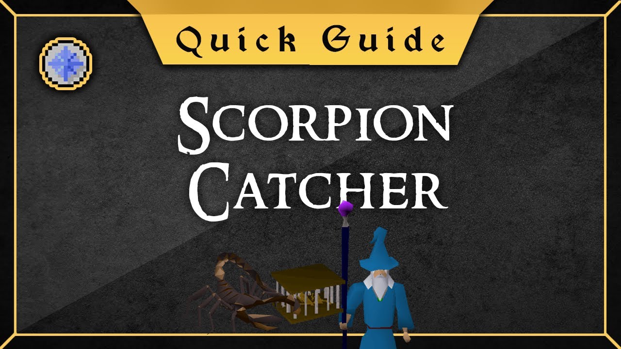 [Quick Guide] Scorpion Catcher - YouTube