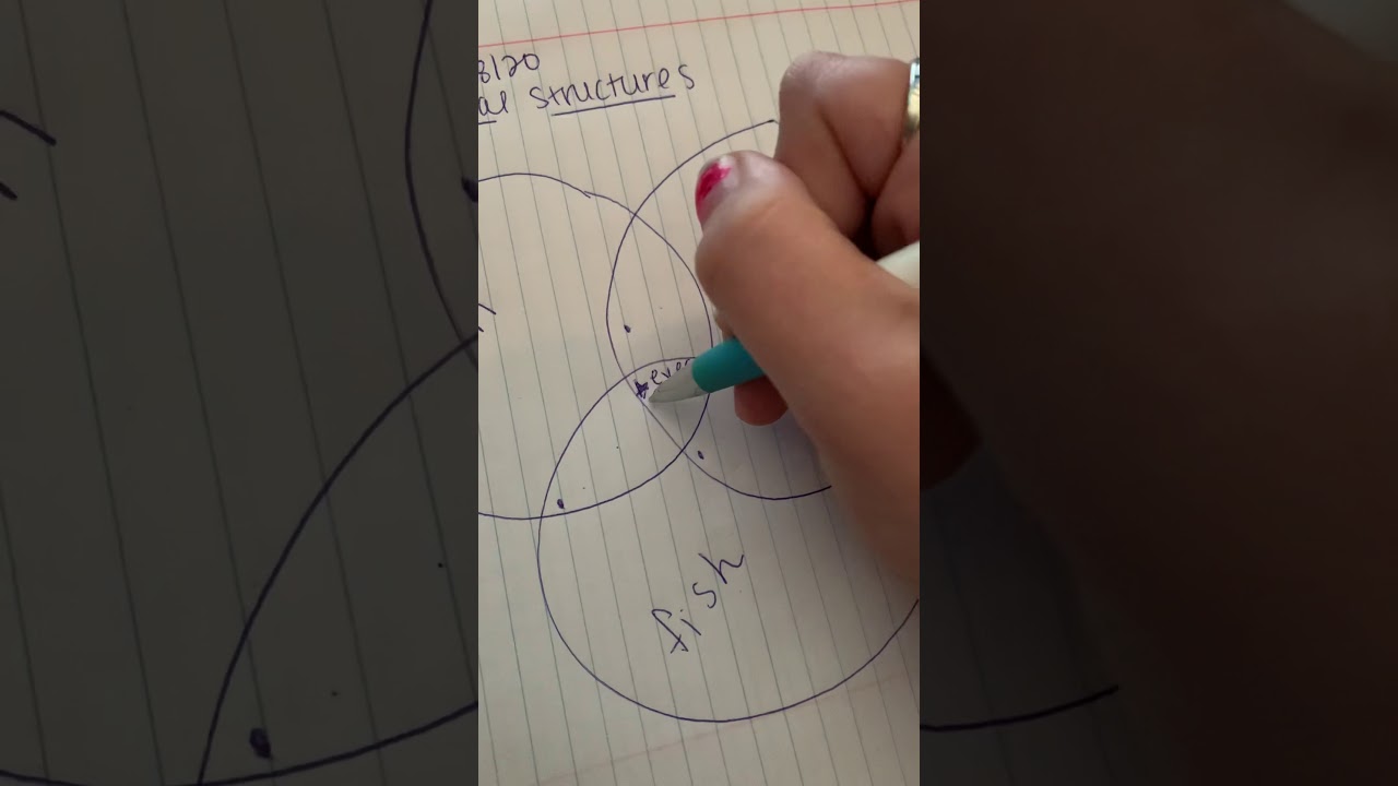 How to Make Science Diagram 5/18 - YouTube