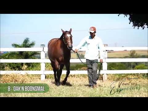 8 OAK N BOONSMAL - YouTube