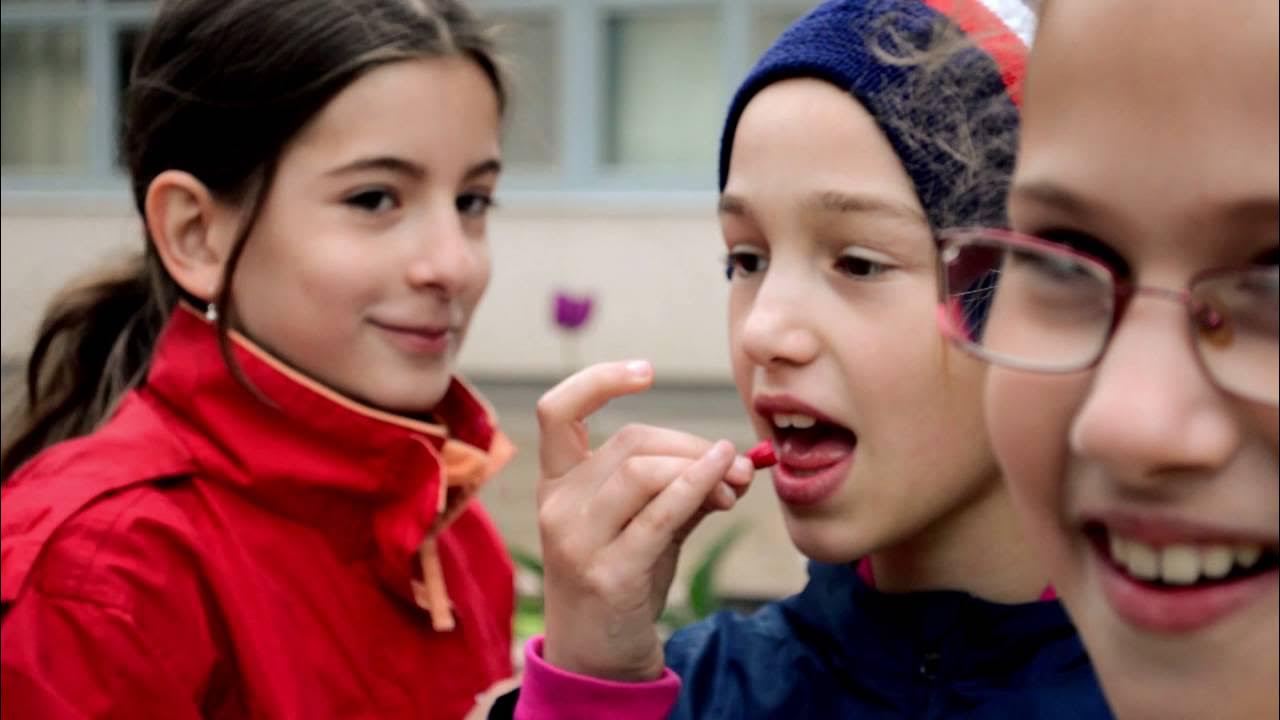 iskola PROMO - YouTube