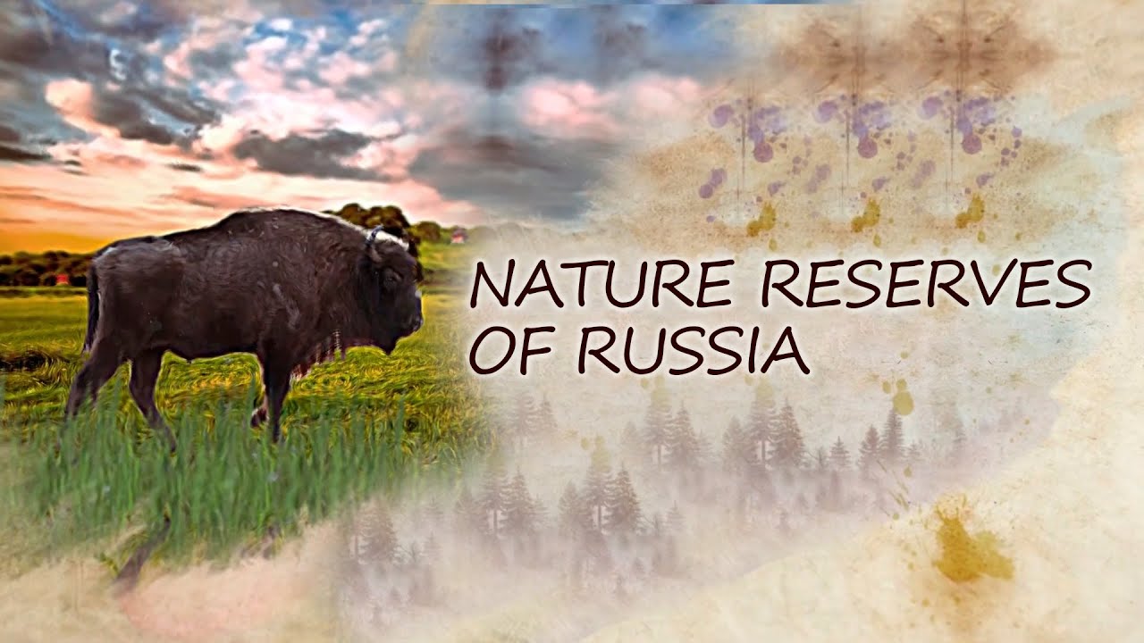 Prioksko-Terrasny Reserve. Nature reserves of Russia - YouTube