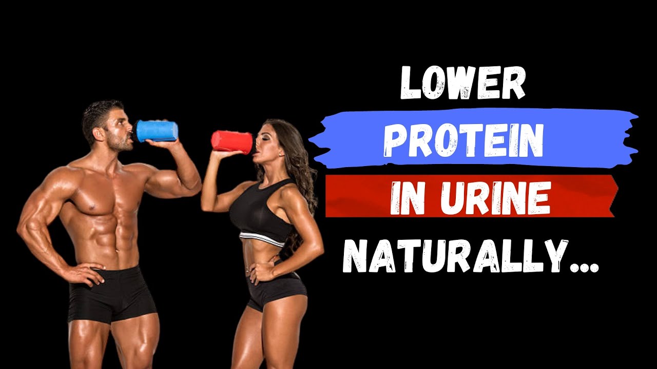 5 Simple Ways To Lower Protein In Urine Naturally protein urine 5-simple-ways-to-lower-protein-in-urine-naturally-protein-urine