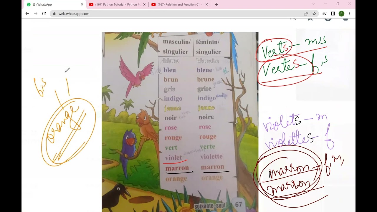 CBSE French Class 6 Enchante (Colours in French) - YouTube