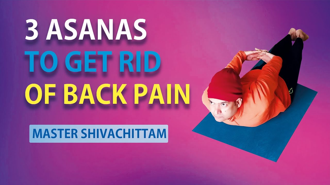 3 ASANAS TO GET RID OF LOWER BACK PAIN || Best Beginner YOGASANAS for ...