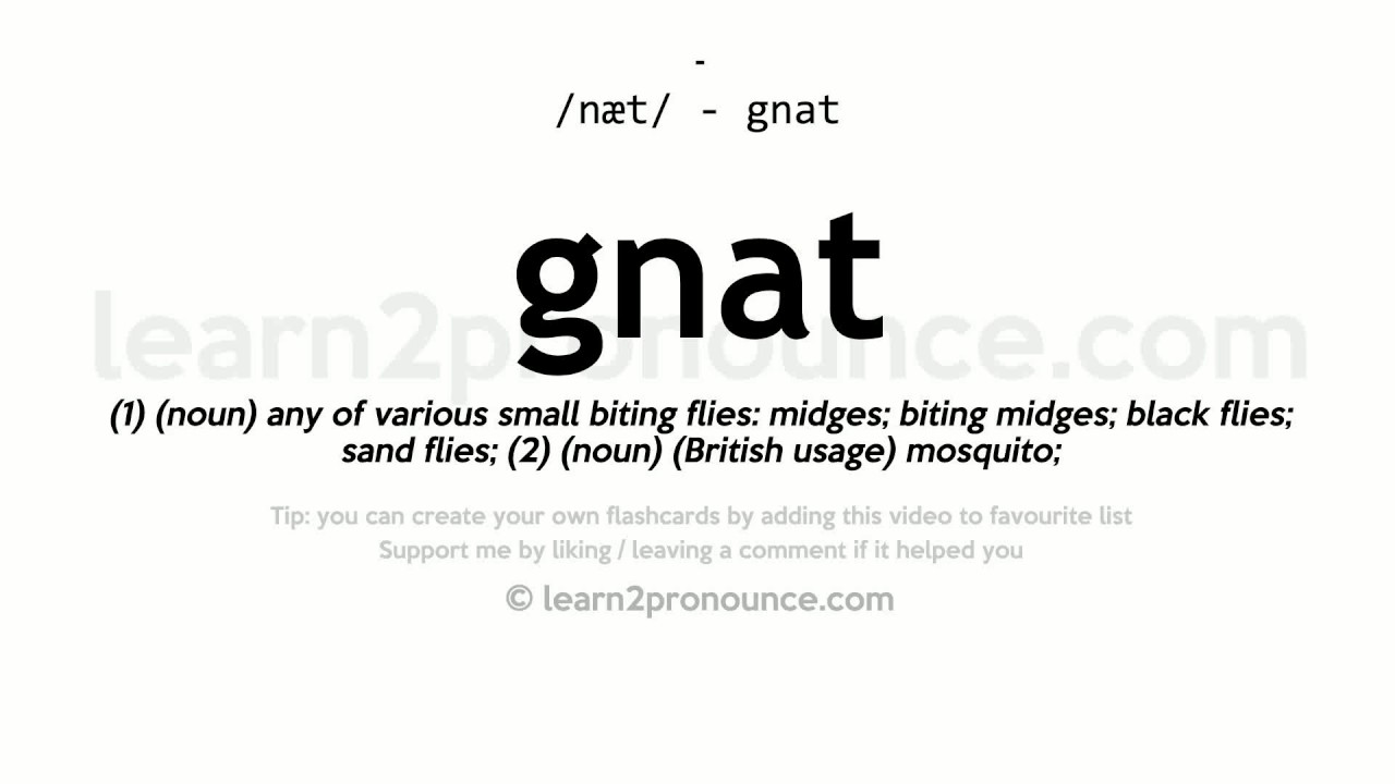 Pronunciation of Gnat | Definition of Gnat - YouTube
