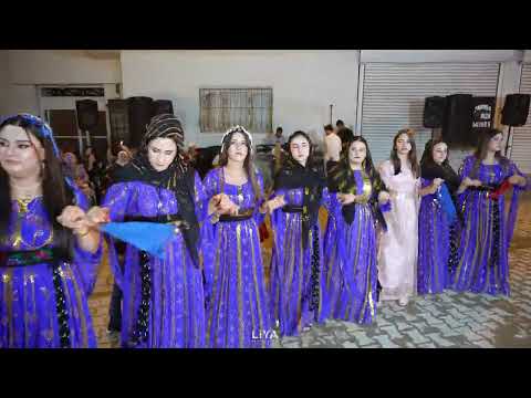 Hasan Doğan Kına Düğünü Part 1 | Zamira Müzik 
