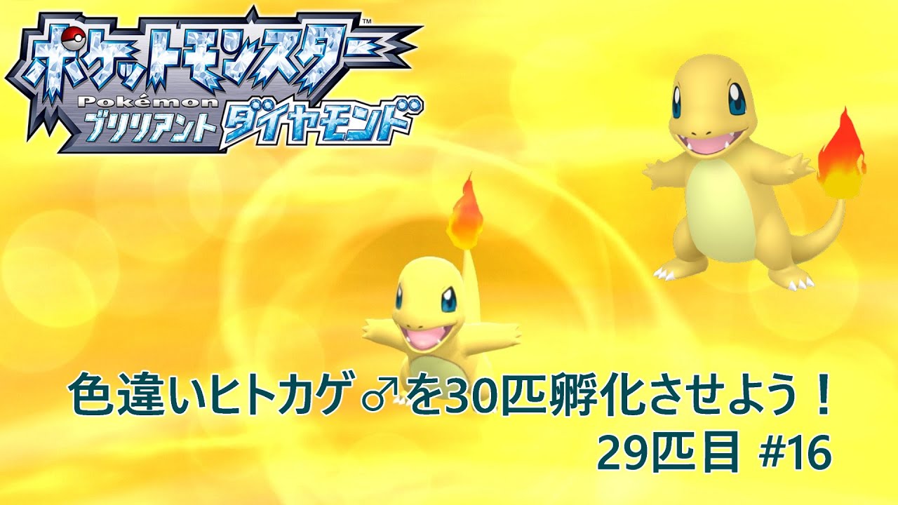 【ポケモンBDSP】色違いヒトカゲ♂を30匹孵化させよう！【色違い】 29匹目 #16 - YouTube