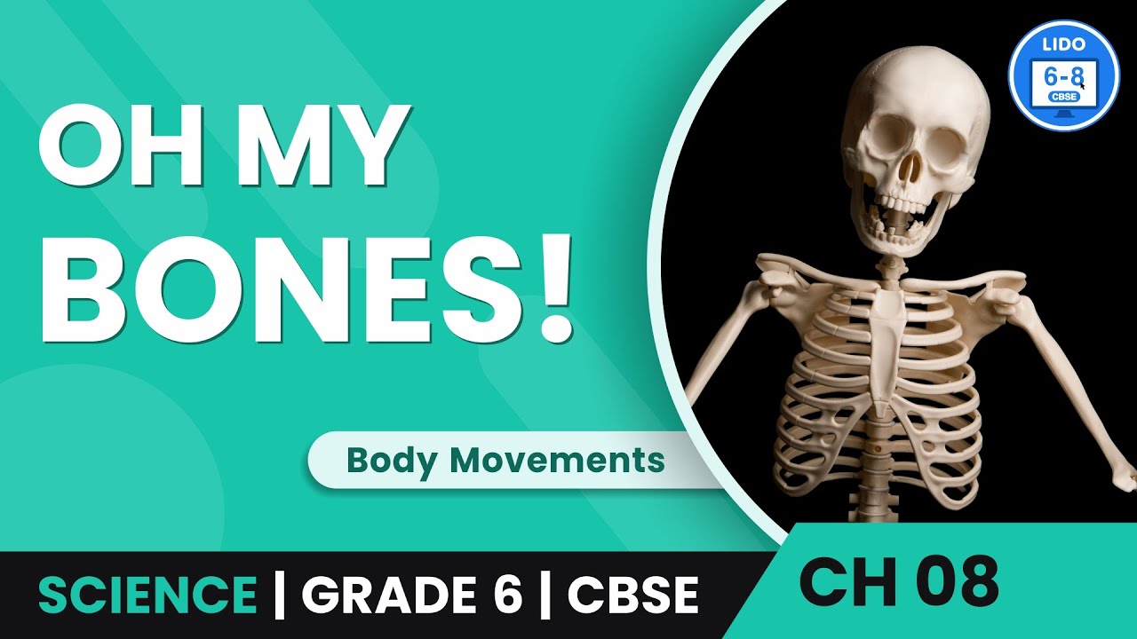 Human Skeletal system | Body Movements | Class 6 Science Chapter 08 ...