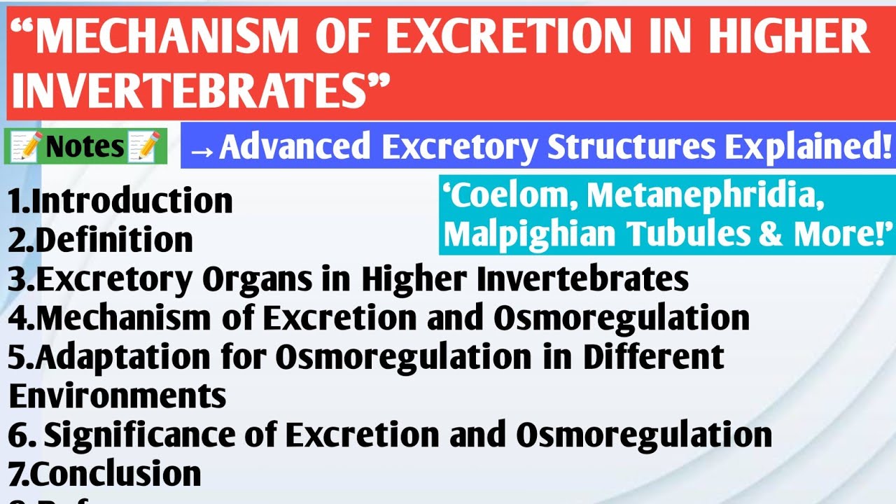 Excretion in Higher Invertebrates | Coelom | Metanephridia | Malpighian ...