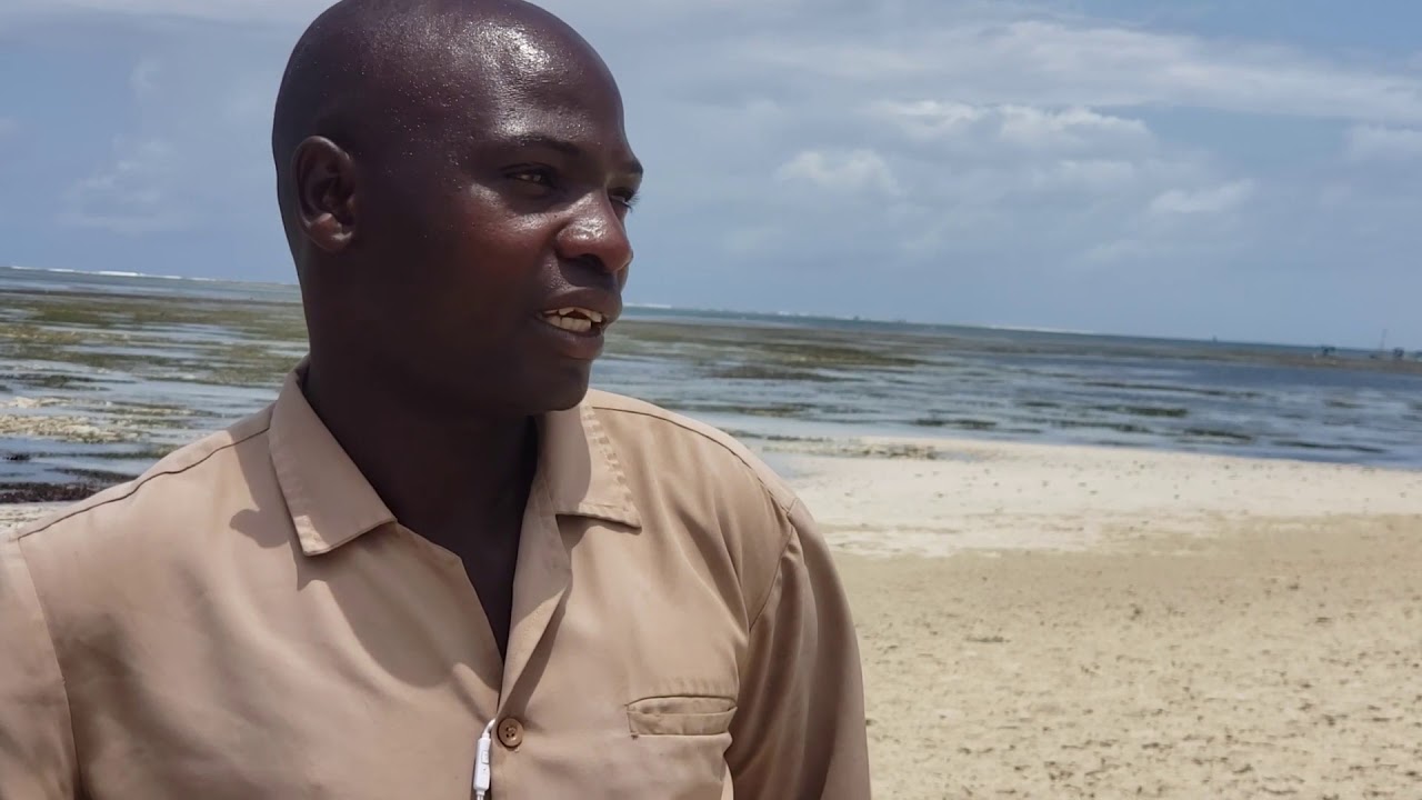 Geoffrey Achuka on efforts to protect the ocean - YouTube