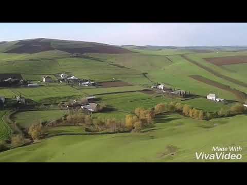 Cellabad qarağac kendi