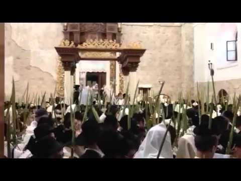 Wow! Unbelievable! Hoshanna Rabba in the Churva Synagogue Old City ...