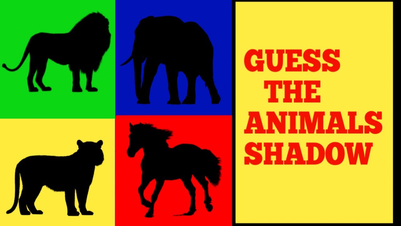 kids quiz . Guess the Animal from their shadow and Learn about the ...