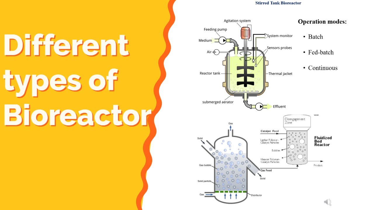 Different types of bioreactors| Explained| Biochemical & Bioprocess ...