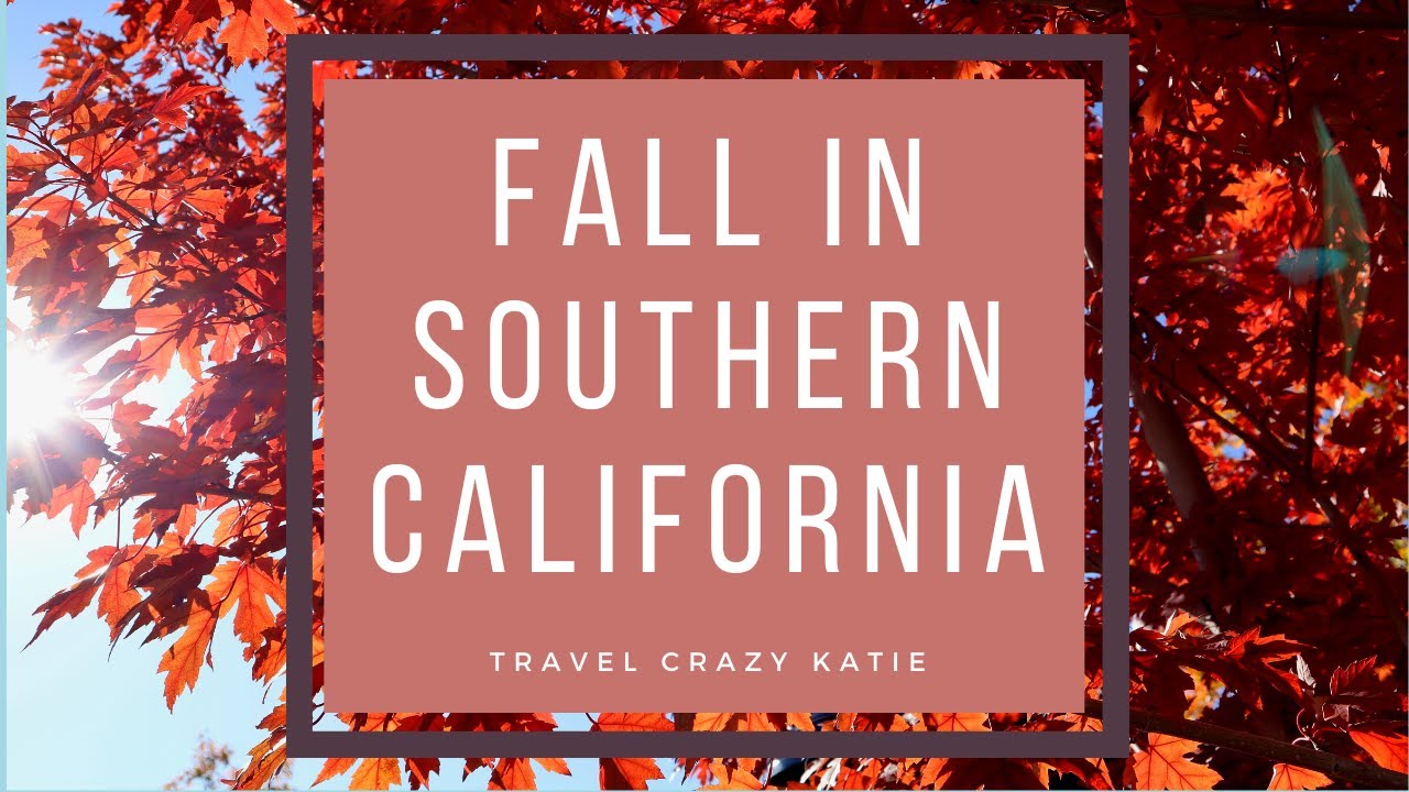 Where to Find Fall Colors in Southern California - YouTube