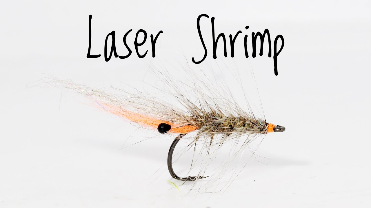 Laser Shrimp - Sea Trout Fly Tutorial - YouTube