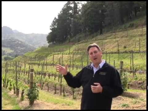 Winemaker Michael Beaulac Introduces The Stags Leap District ...
