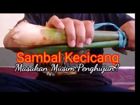 Sambal Kecicang Masakan Musim Penghujan? - YouTube