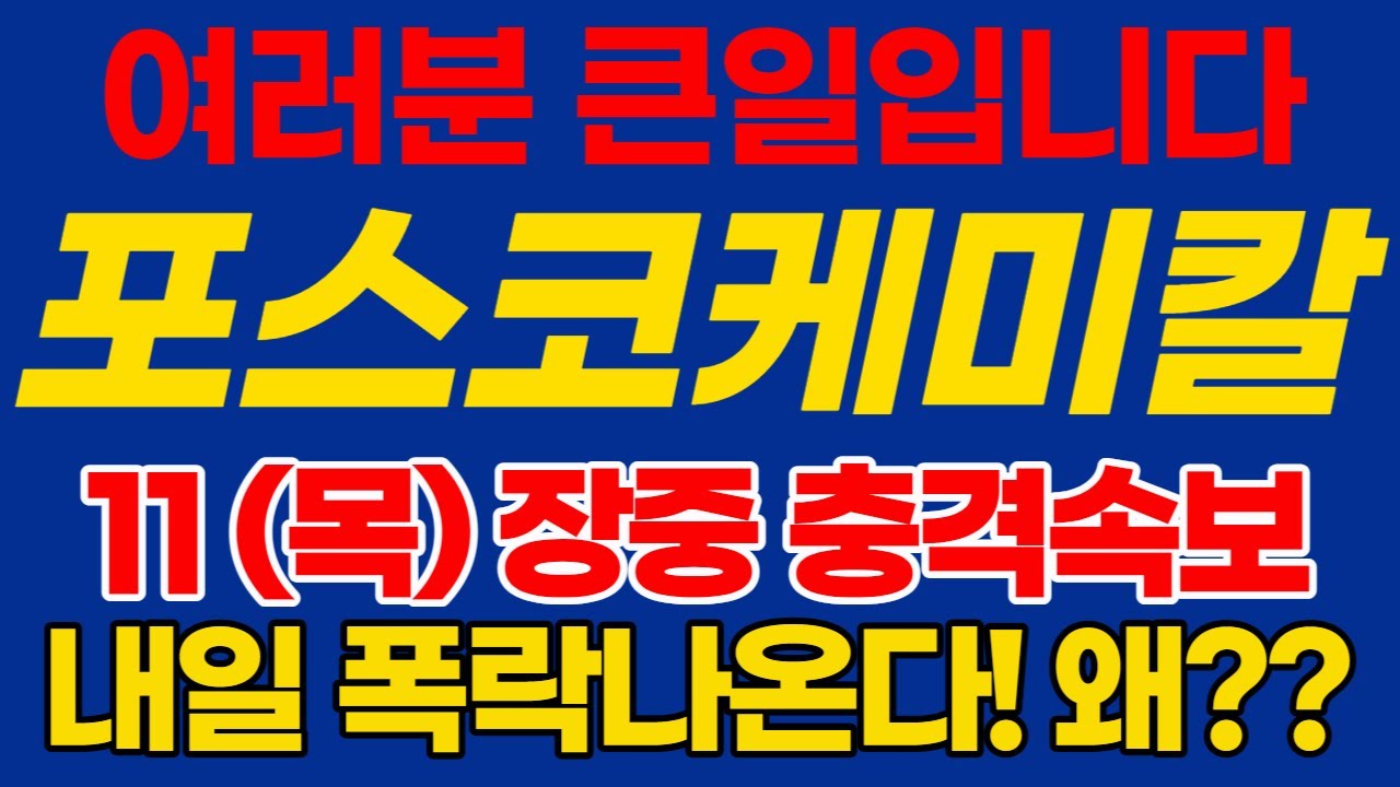 포스코케미칼 주가전망 포스코케미칼주가전망포스코케미칼주가포스코케미칼전망포스코케미칼분석포스코케미칼목표가포스코케미칼