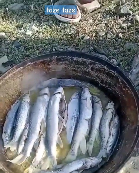 #fishing #2024 #carp #balık #fish #relaxing #riba #shorts #respect # ...