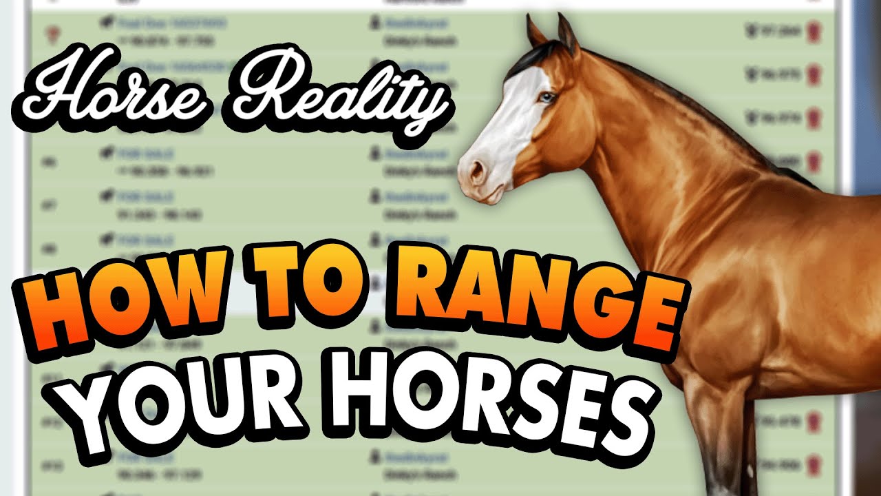 How to Range Your Horses + My Quarter Horse Project Update! [Horse ...