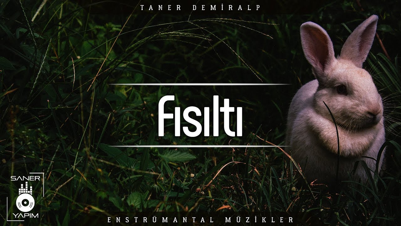 FISILTI - Taner DEMİRALP - YouTube