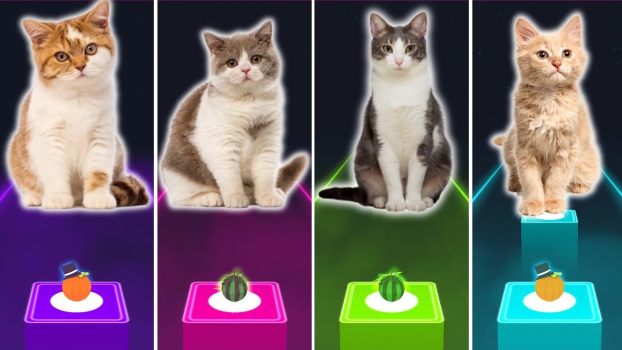 CUTE CATS: BTS 🆚 Christmas Songs 🆚 Clean Bandit - Rockabye 🆚 FRIENDS ...