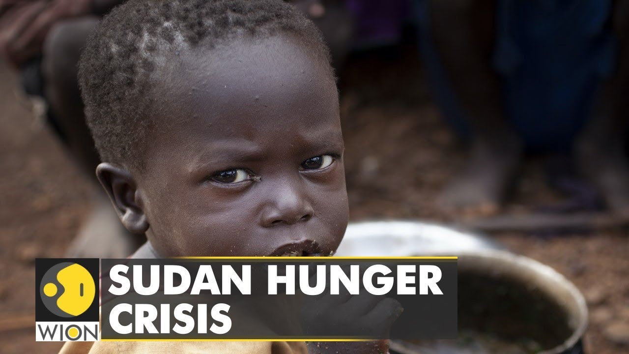 Sudan Hunger Crisis: Urgent agricultural aid required | Darfur region ...