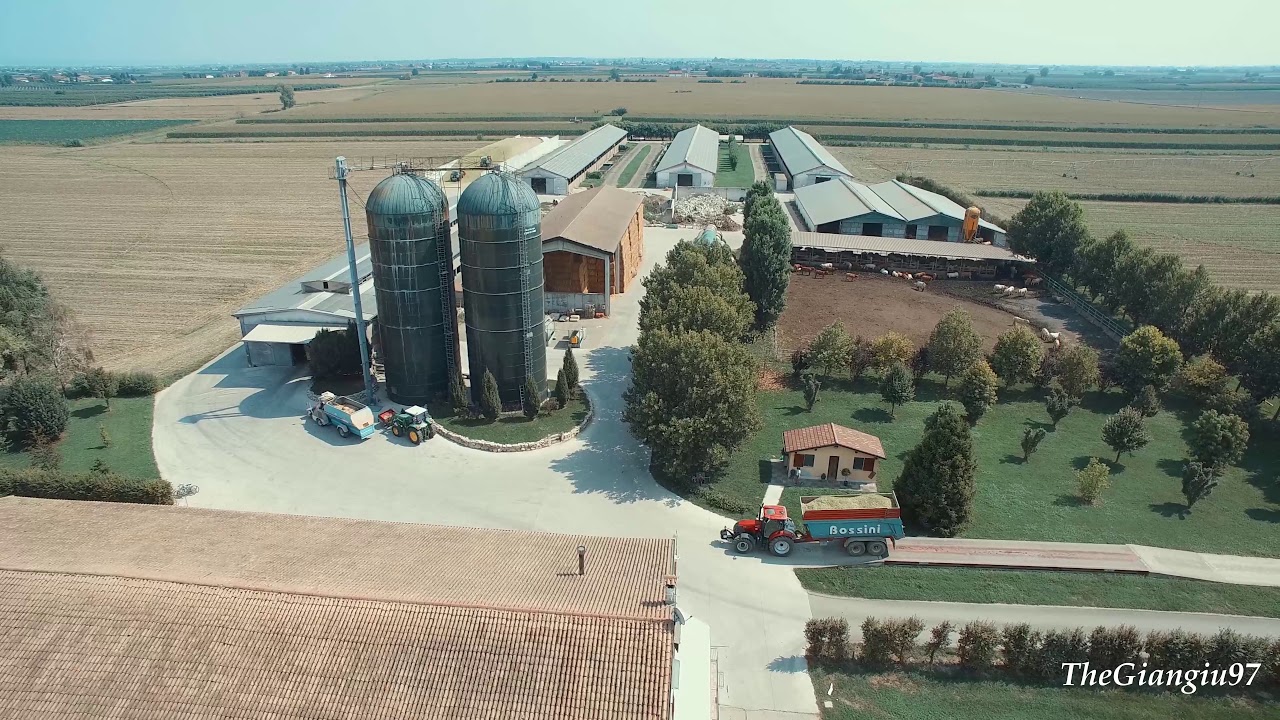 Corn Silage Harvest 2019 in a large farm in Veneto (Italy) - YouTube
