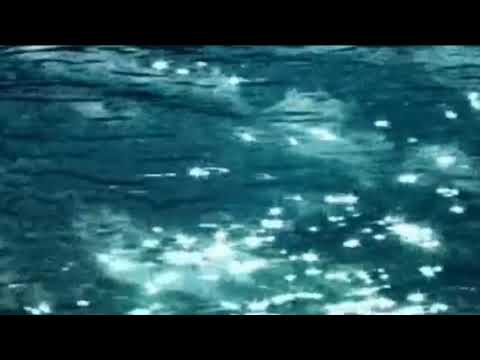 Dr Fuchs - Biliyor musun ? - Sample