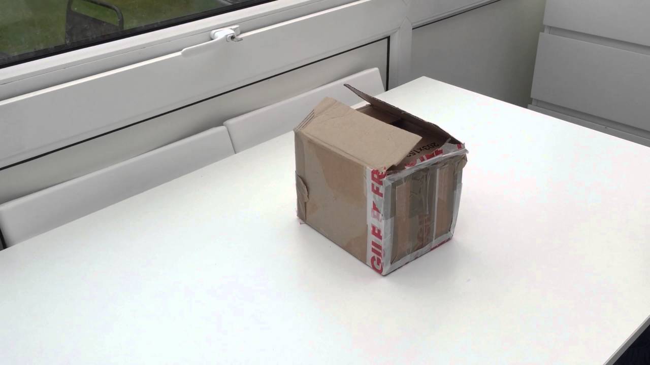 Funko pop Regular Show Rigby - YouTube