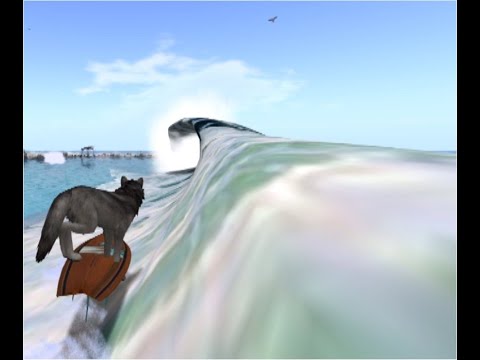 Wolfie goes surfing at the local beach. Relaxing sea & wave sounds ...